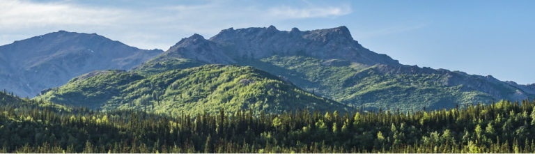 Denali Photographs Menu | Roger Jett PhotographyRoger Jett Photography